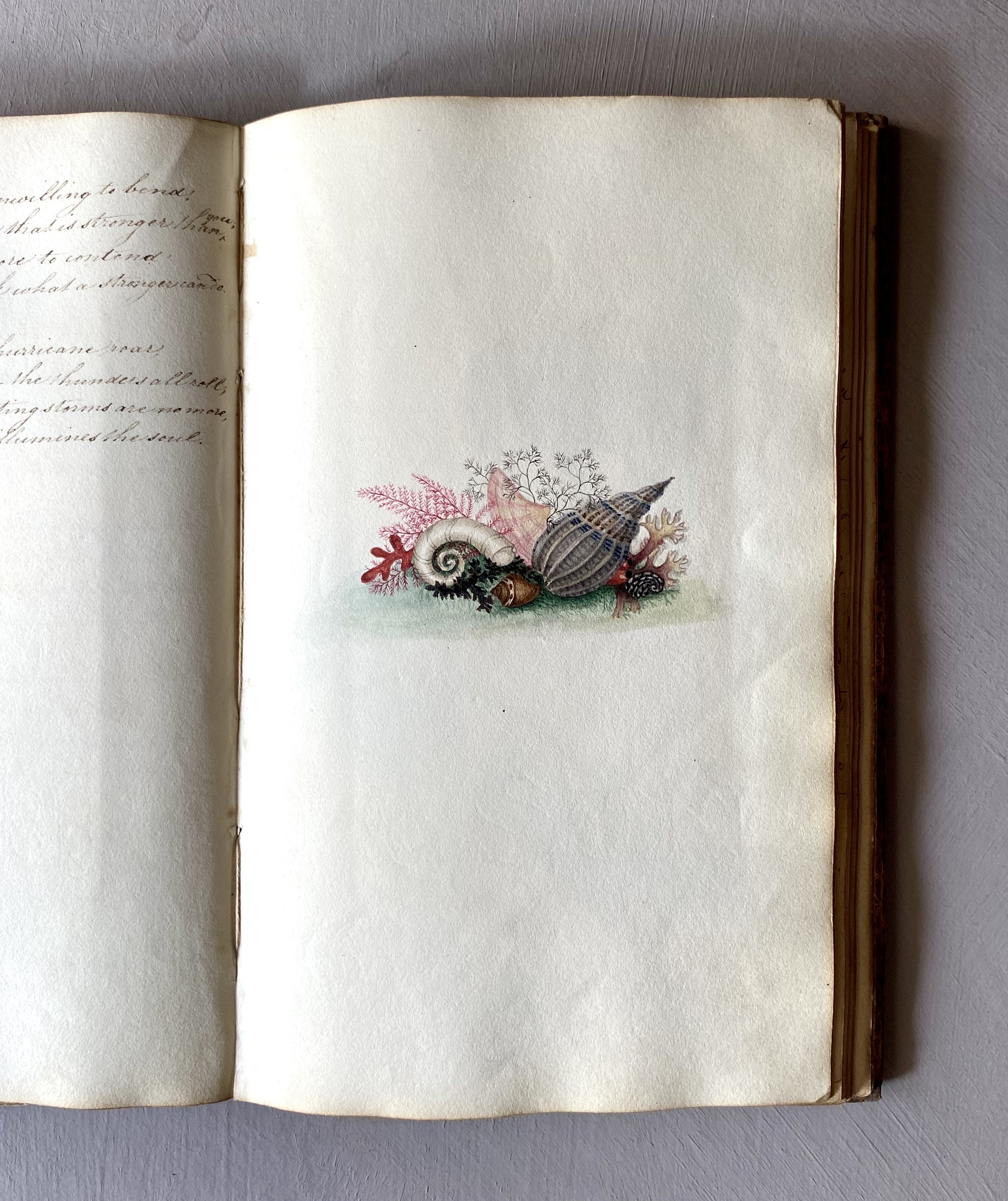 A Scrapbook From the Early 1800s. Watercolours, Drawings and Decorative ...