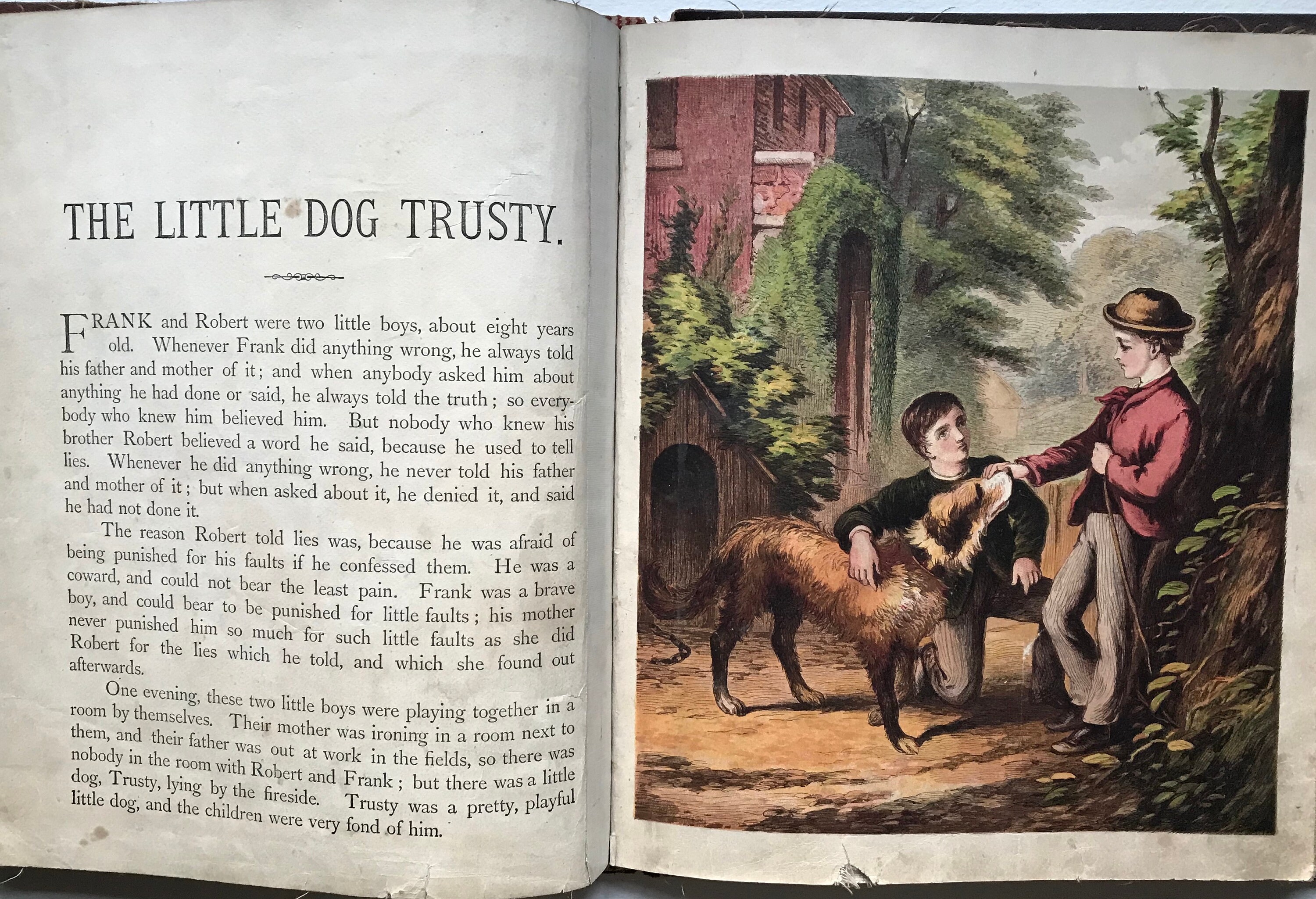 The Dogs Dinner Party, the White Cat, the Little Dog Trusty and My ...