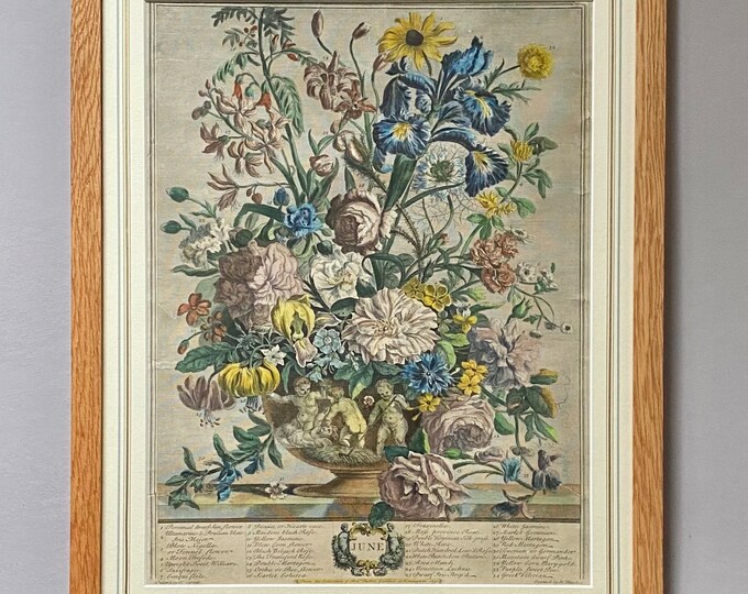Robert Ferber February 12 Month of Flowers Botanical Lithograph Print ...