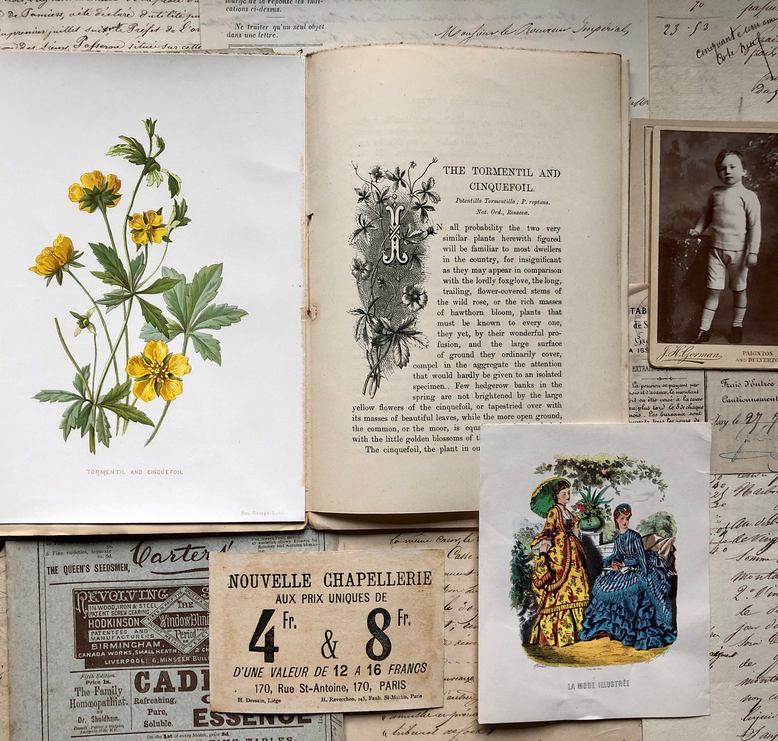 A Generous Quantity of Antique French Papers, Cards and Engravings ...