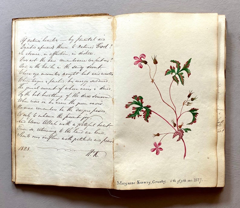 A Scrapbook From the Early 1800s. Watercolours, Drawings and Decorative ...