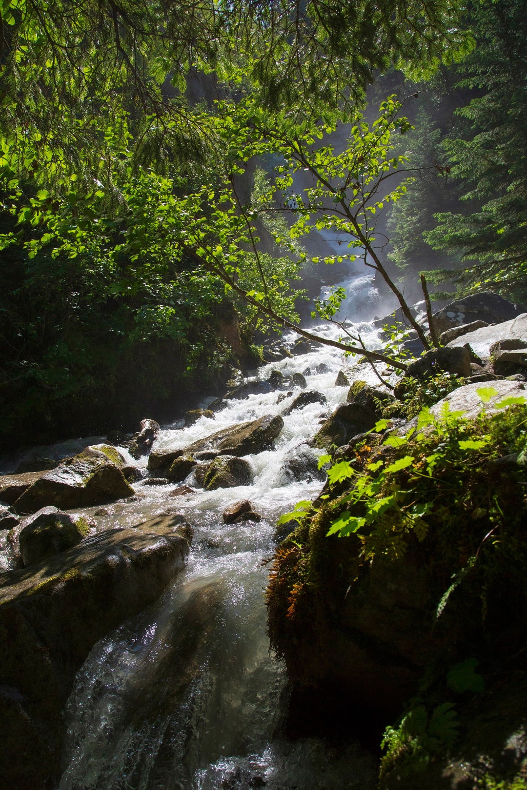 Skagway Alaska Waterfall Landscape Photography Print. Wilderness Nature ...