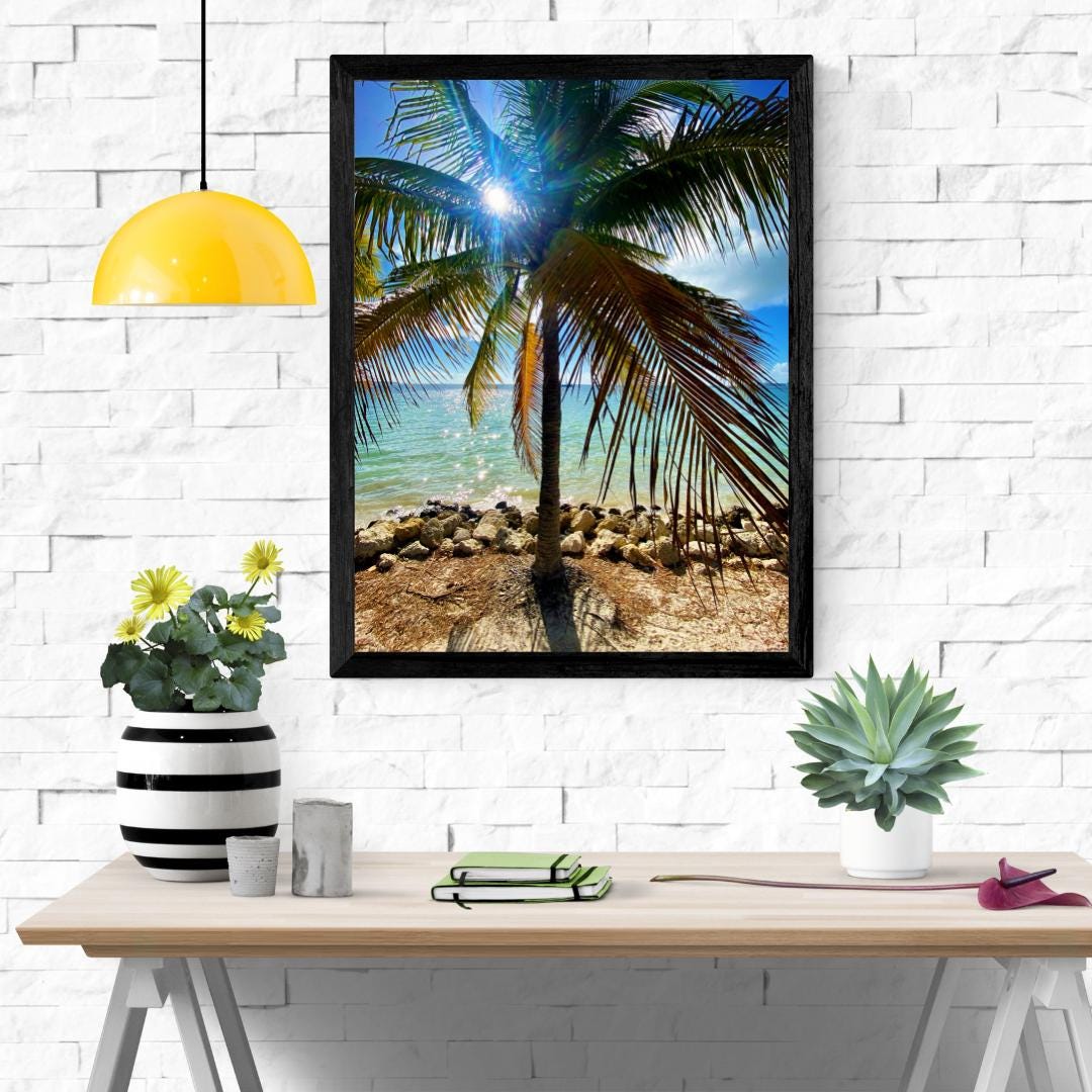 Key Biscayne Palm I Florida Beach Photography Print I Tropical Palm ...