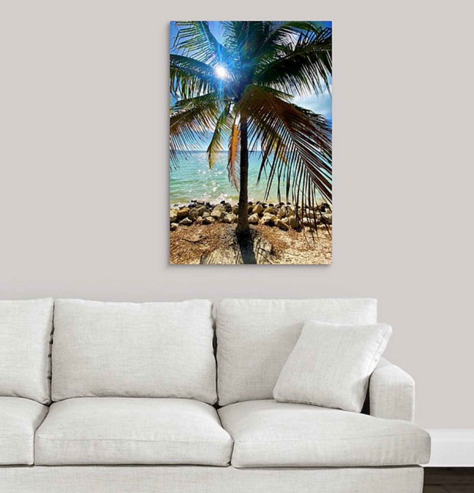 Key Biscayne Palm I Florida Beach Photography Print I Tropical Palm ...