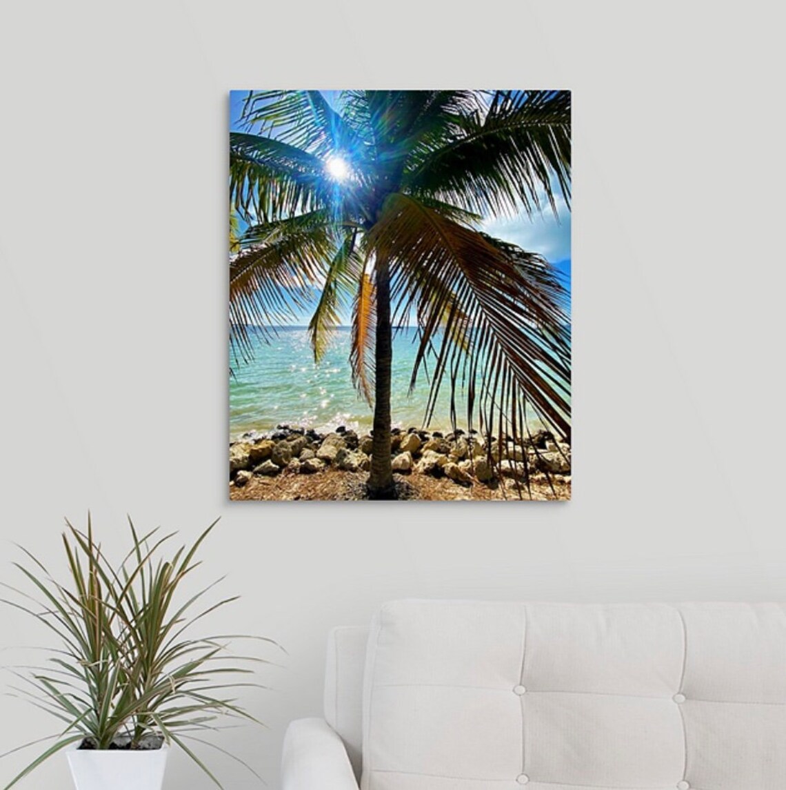 Key Biscayne Palm I Florida Beach Photography Print I Tropical Palm ...