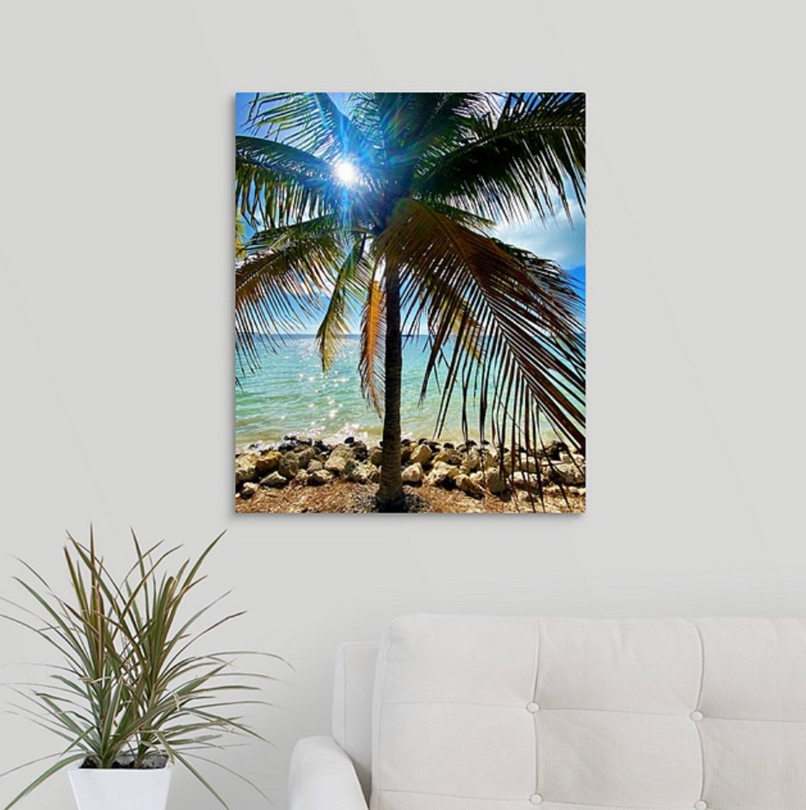Key Biscayne Palm I Florida Beach Photography Print I Tropical Palm ...