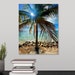 Key Biscayne Palm I Florida Beach Photography Print I Tropical Palm ...