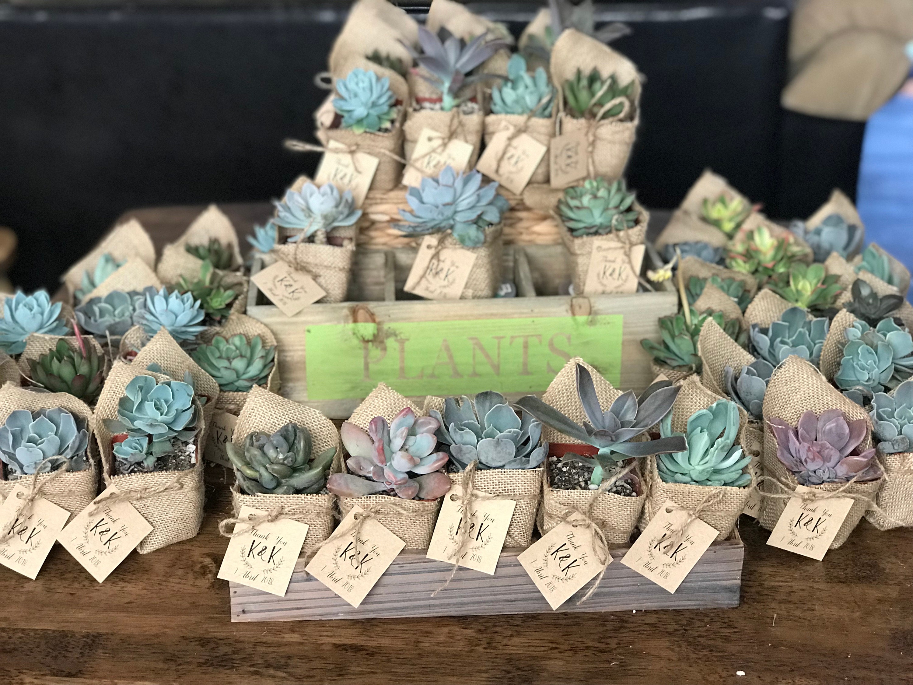 Party Favors - Etsy