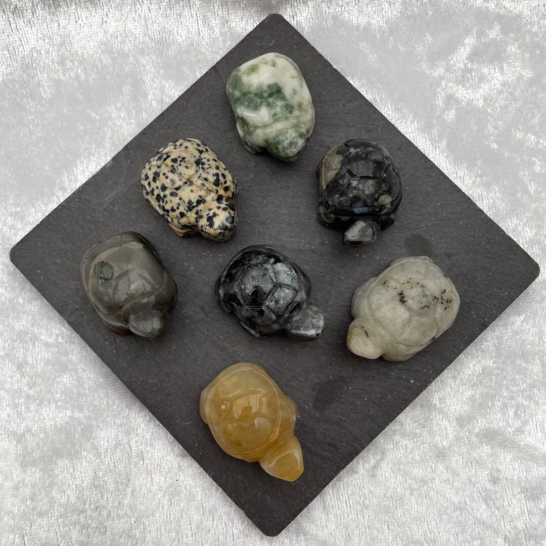 Mini Crystal Tortoises - Etsy