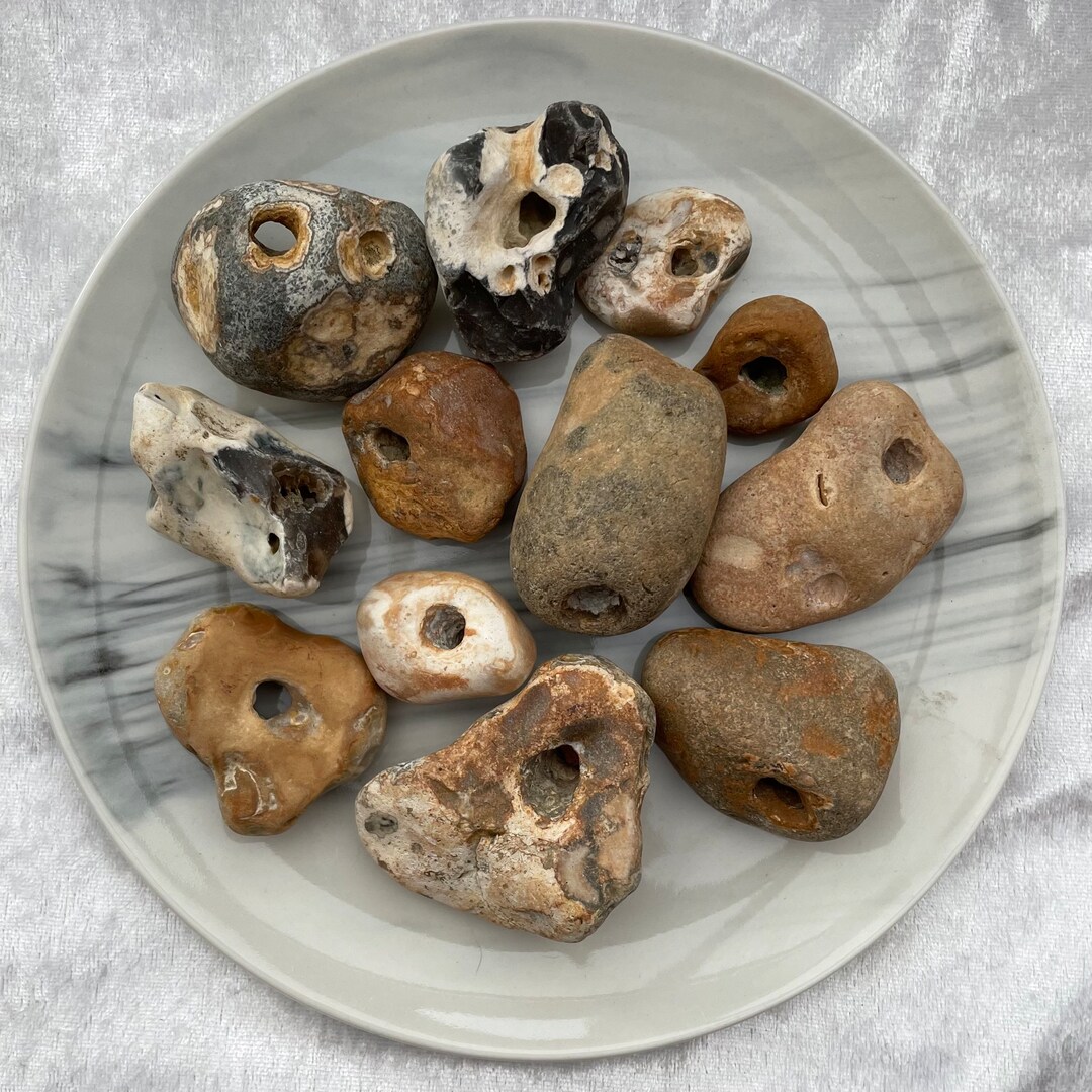 Beach Combed Hag Stones - Etsy