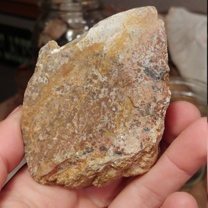 Delightful Freckled Calamity Jasper * - Etsy