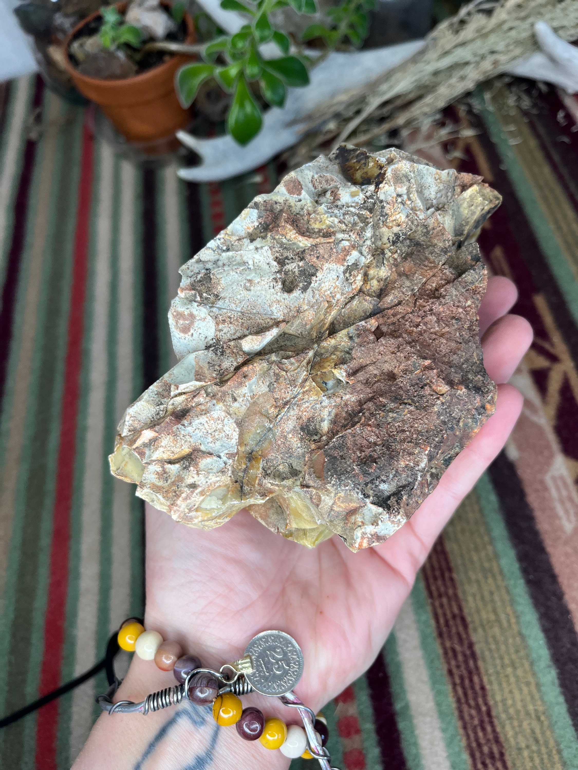 2lbs of Limb Cast With Oregon Opal - Etsy