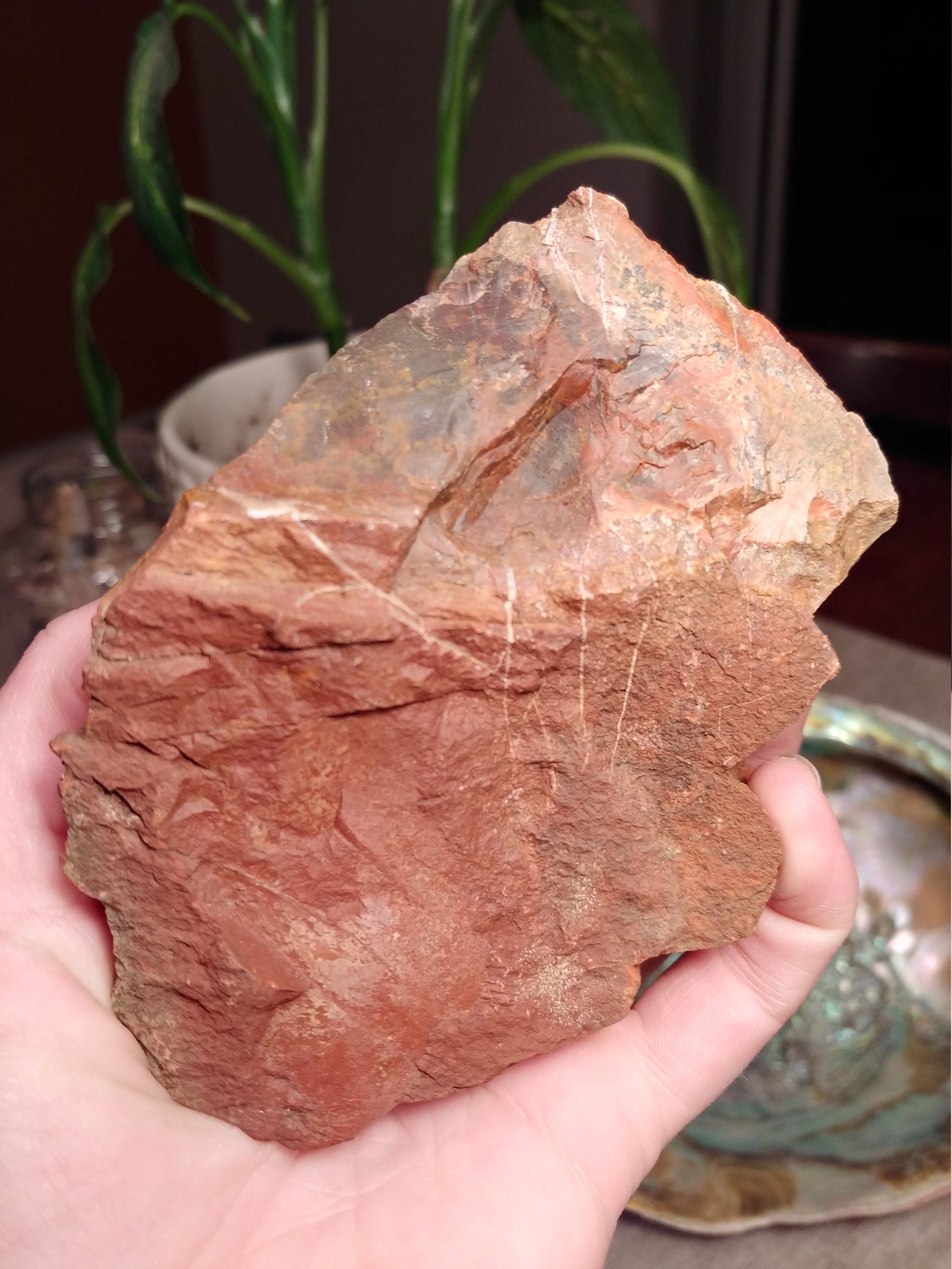 Orbicular Calamity Jasper | Etsy