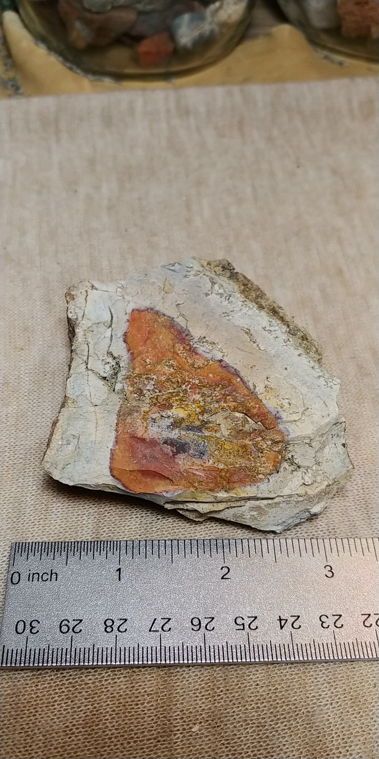 Polychrome Calamity Jasper Slab * - Etsy