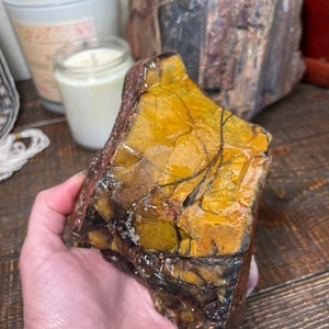 Striking Limb Cast With Jasper* - Etsy