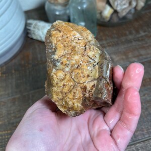 1lbs of Limb Cast With Quartz and Agate * - Etsy