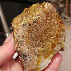 Delightful Freckled Calamity Jasper * - Etsy