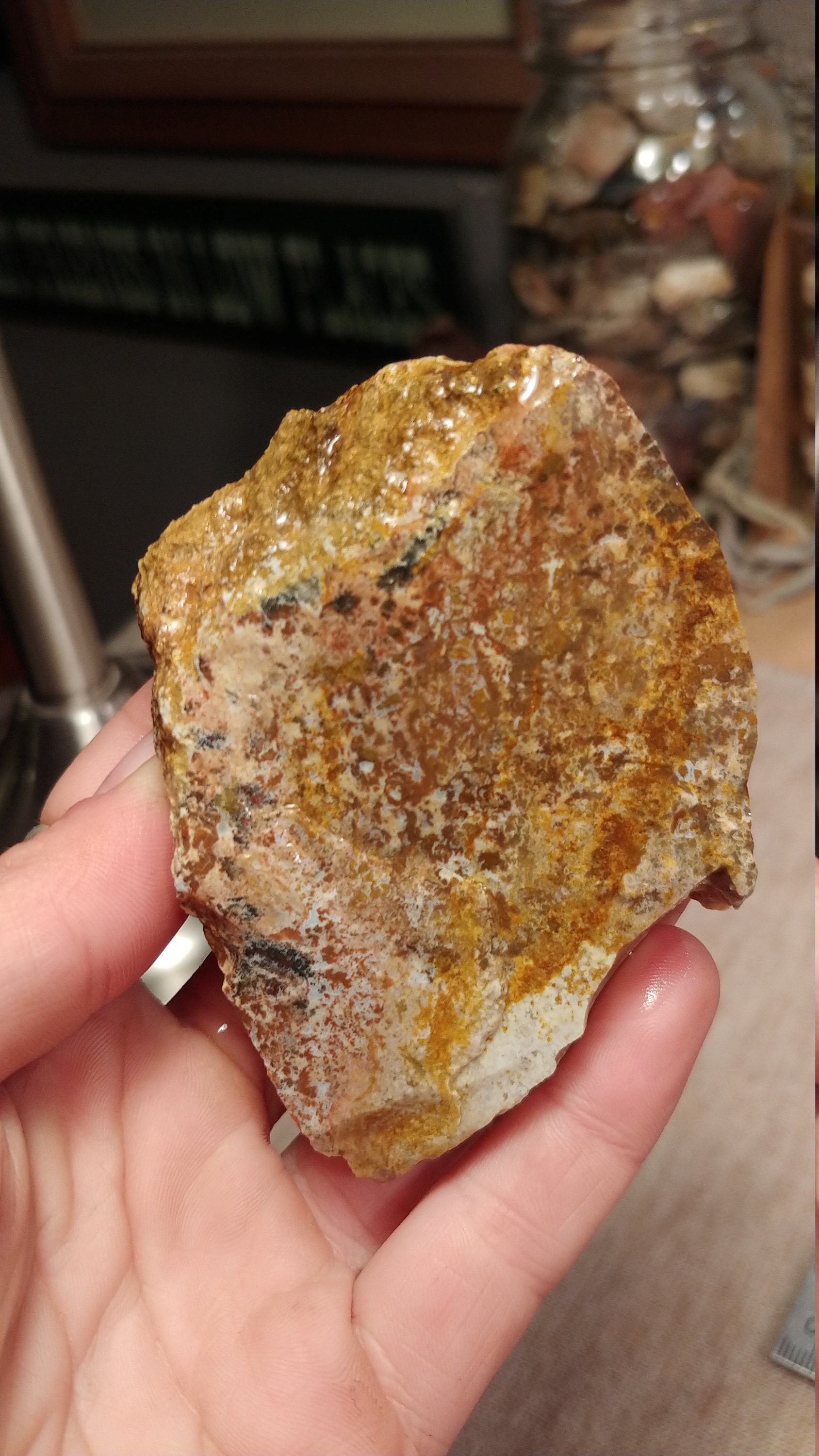 Delightful Freckled Calamity Jasper * - Etsy