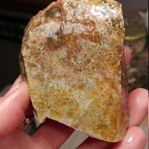 Delightful Freckled Calamity Jasper * - Etsy