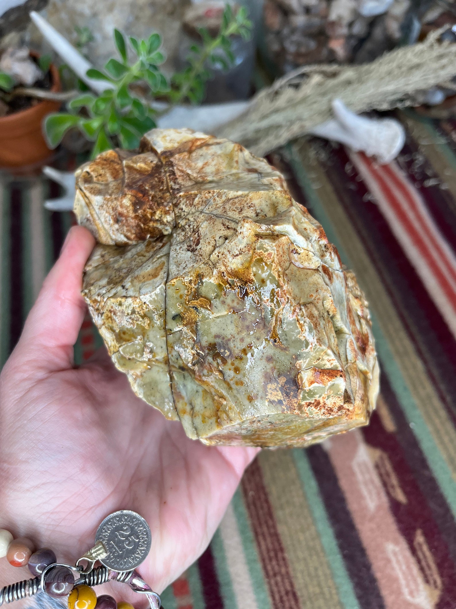 2lbs of Limb Cast With Oregon Opal * - Etsy