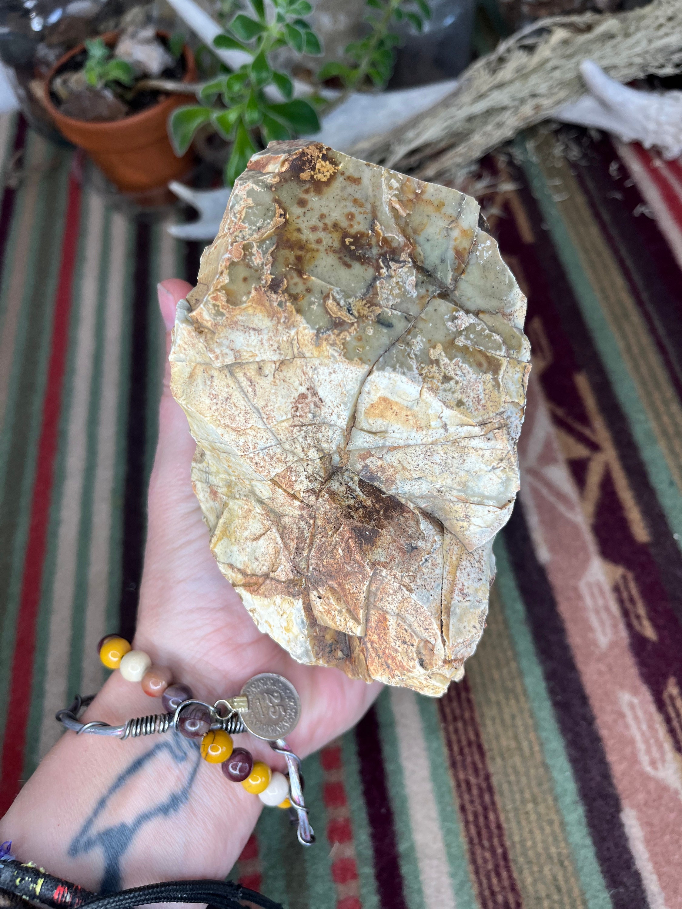 2lbs of Limb Cast With Oregon Opal * - Etsy