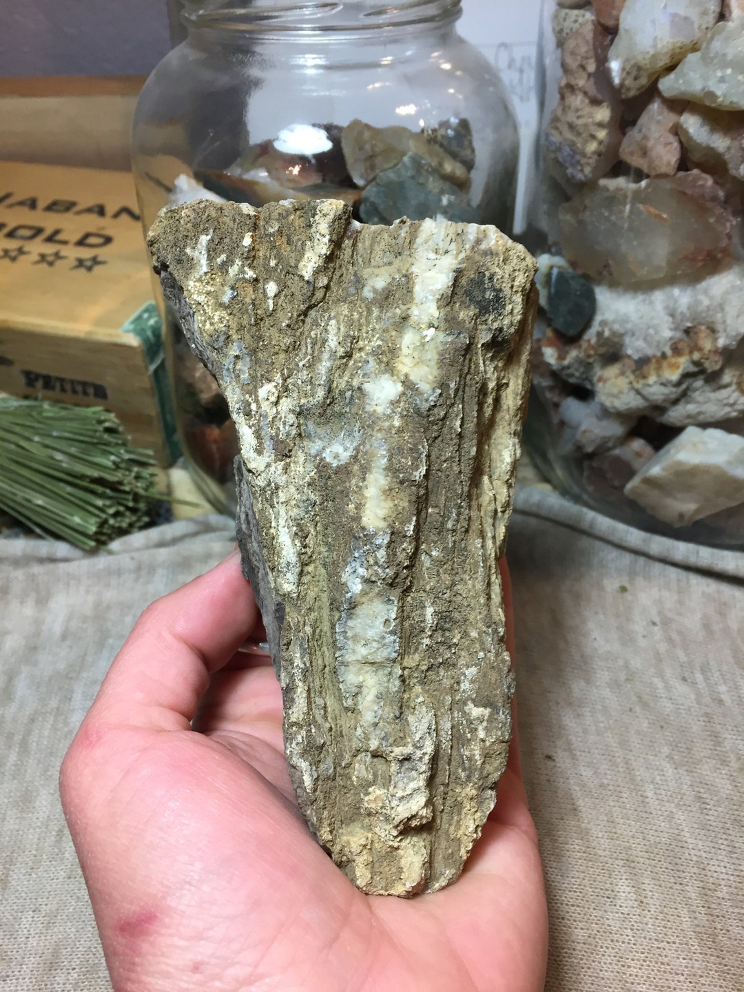 Calcite Crystallized Limb Cast * - Etsy