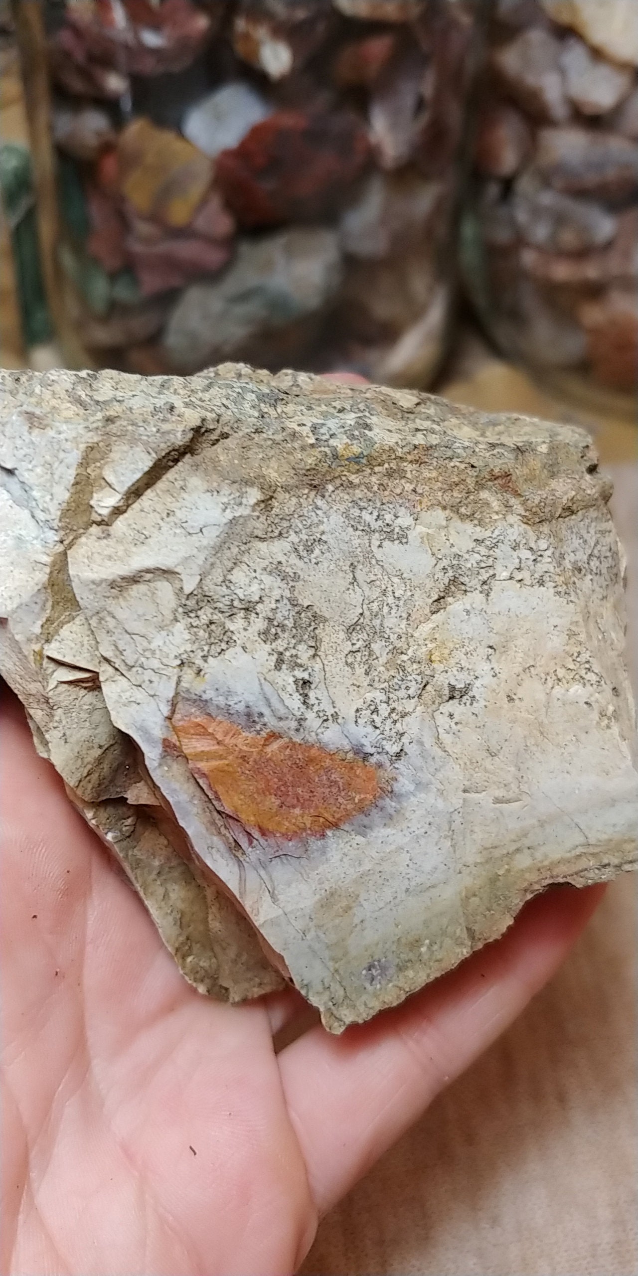 Polychrome Calamity Jasper Slab - Etsy