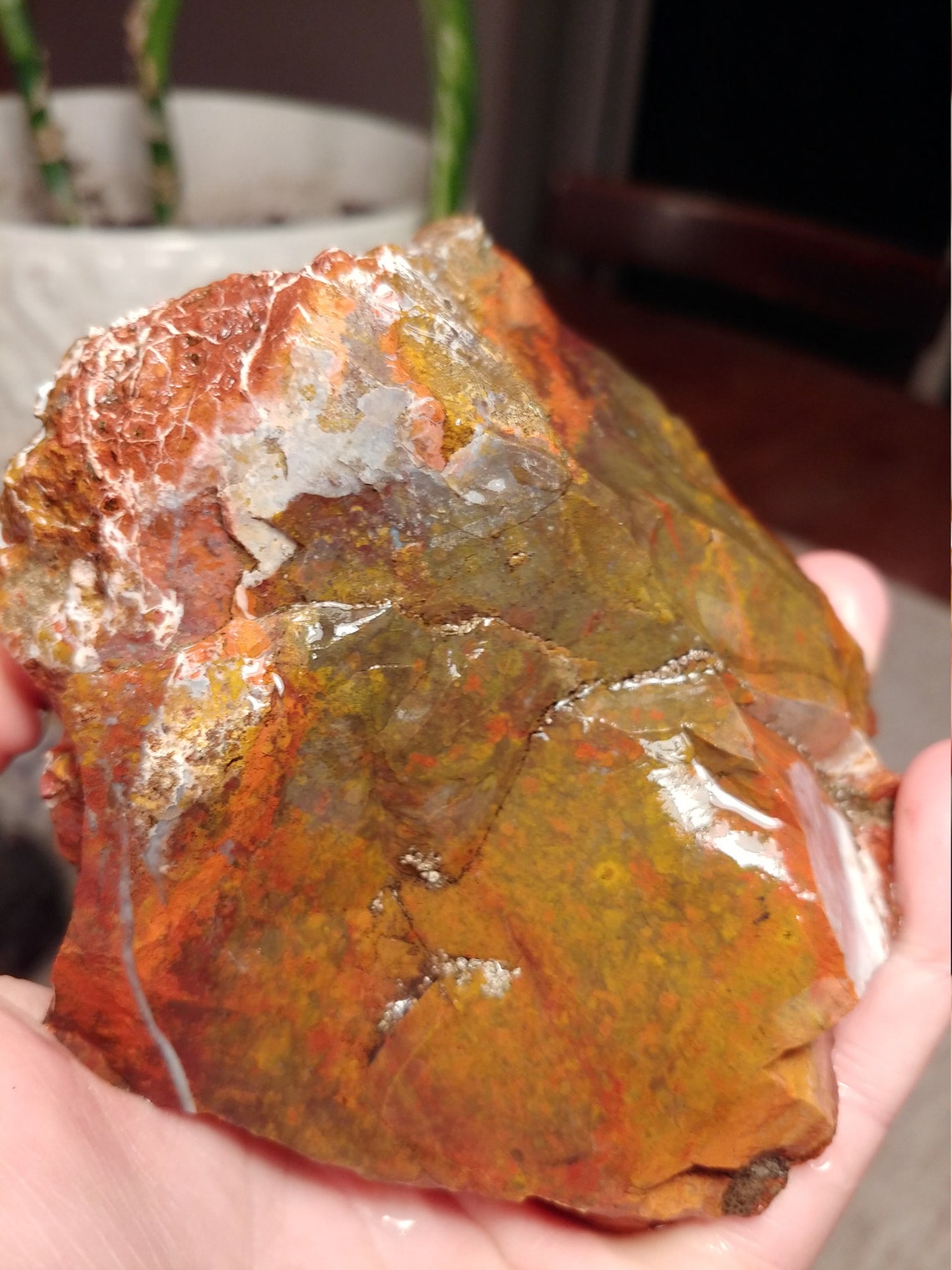 Orbicular Calamity Jasper | Etsy