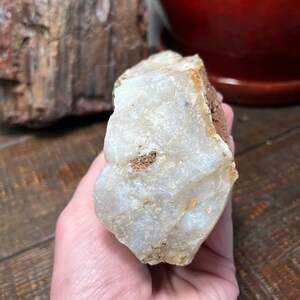 Dainty Agatized Limb Cast* - Etsy