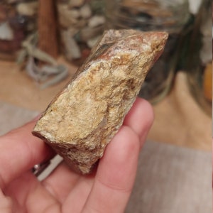 Delightful Freckled Calamity Jasper * - Etsy