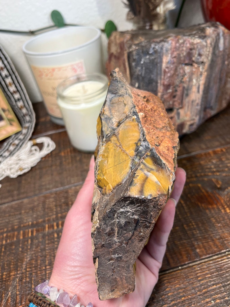 Striking Limb Cast With Jasper* - Etsy