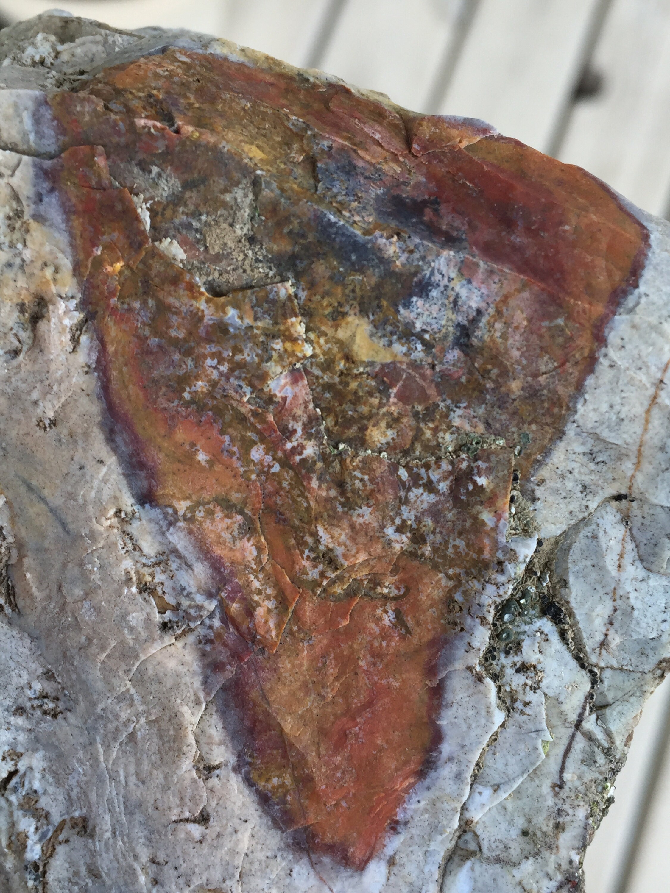 Polychrome Calamity Jasper Slab - Etsy