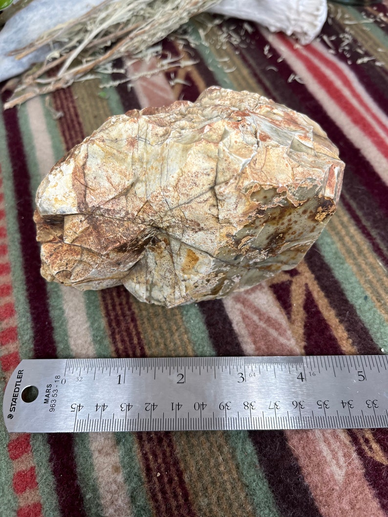 2lbs of Limb Cast With Oregon Opal - Etsy