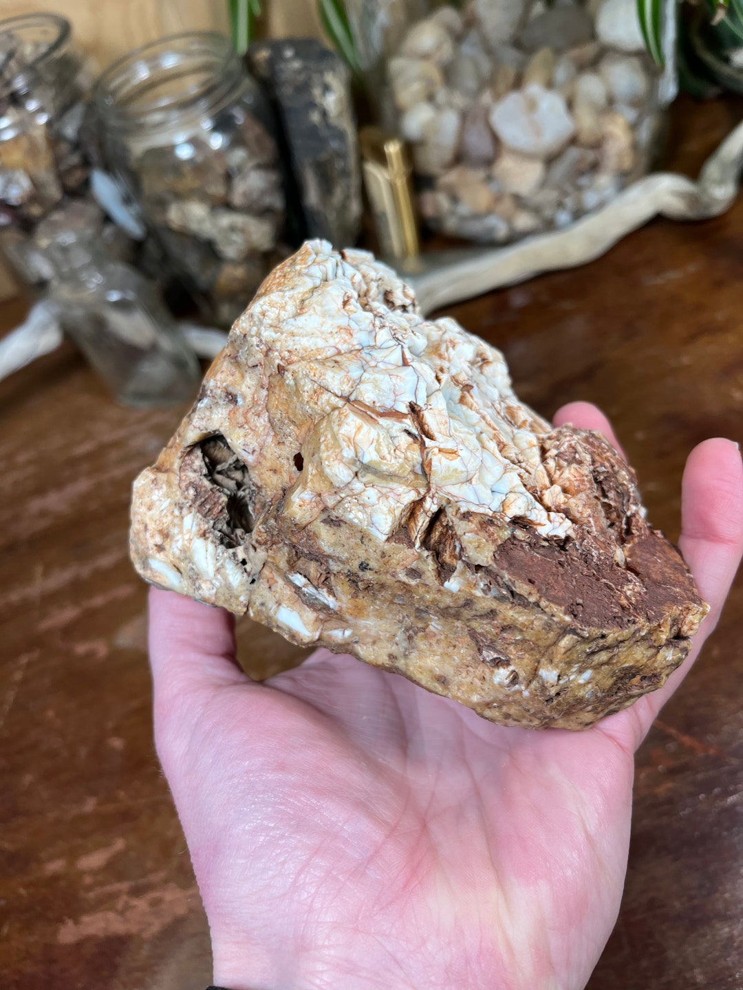 Plucky Conglomerate Limb Cast * - Etsy