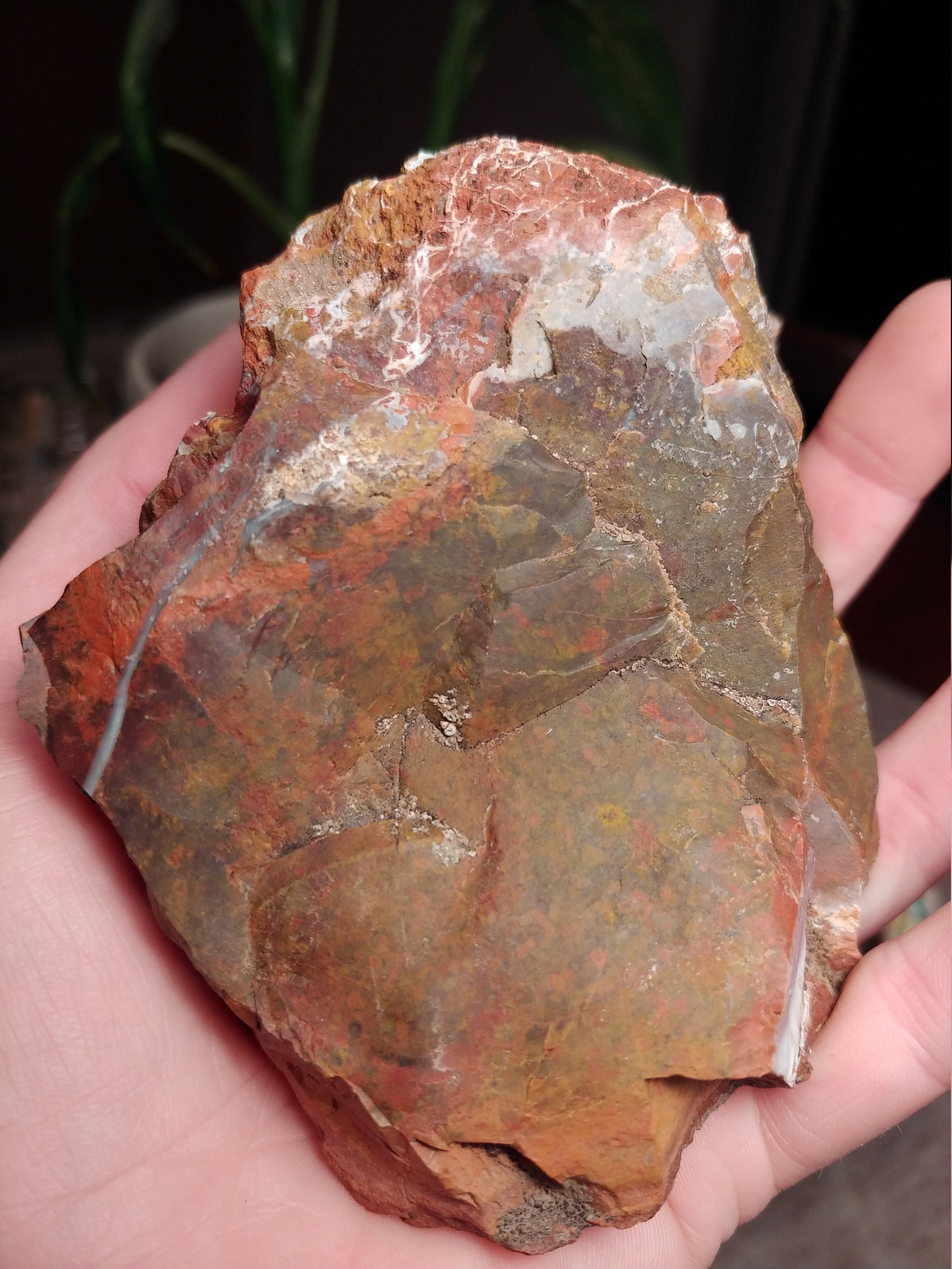 Orbicular Calamity Jasper - Etsy