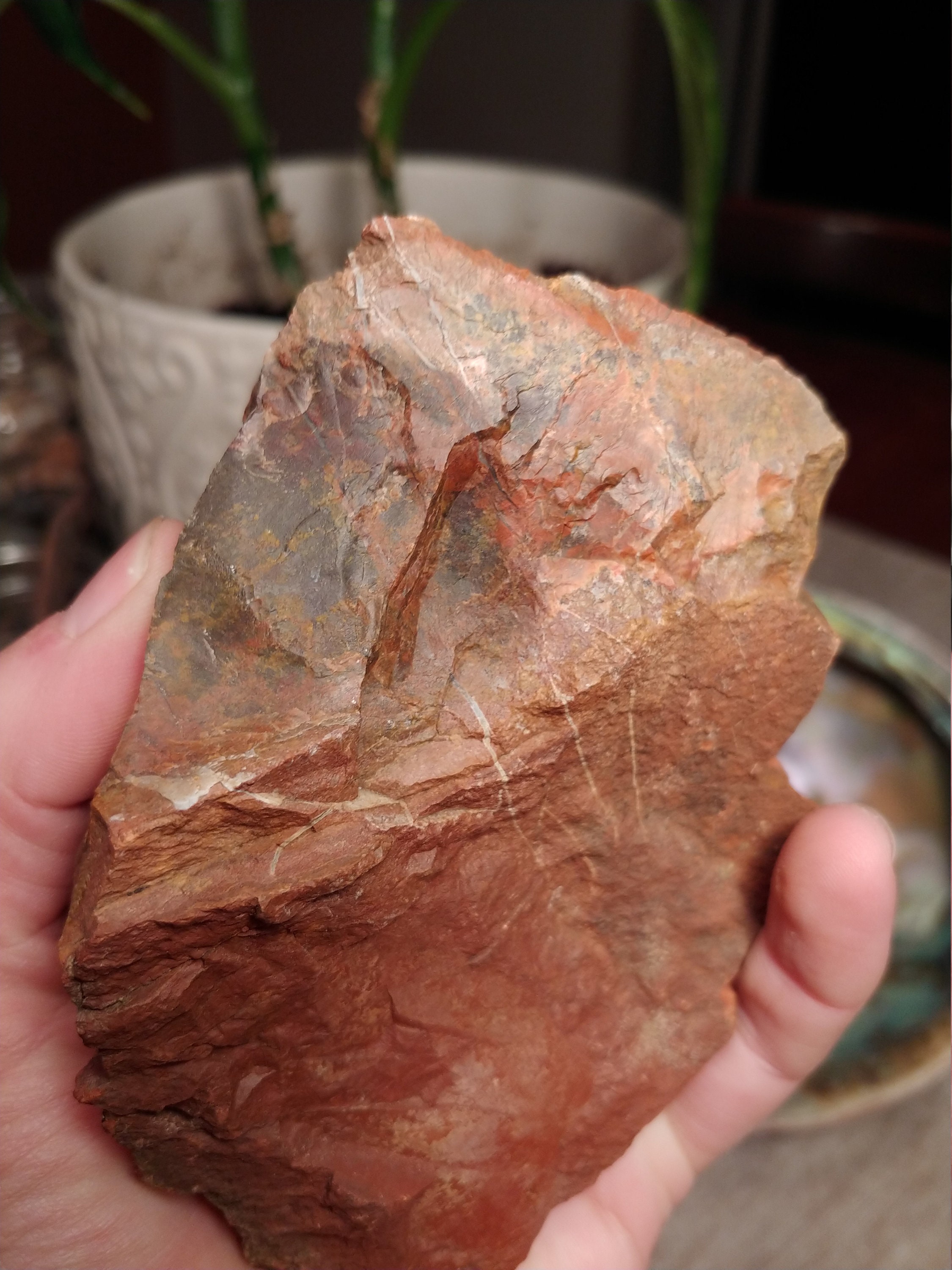 Orbicular Calamity Jasper - Etsy