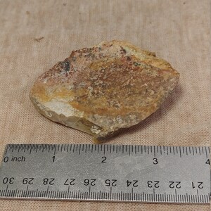 Delightful Freckled Calamity Jasper * - Etsy