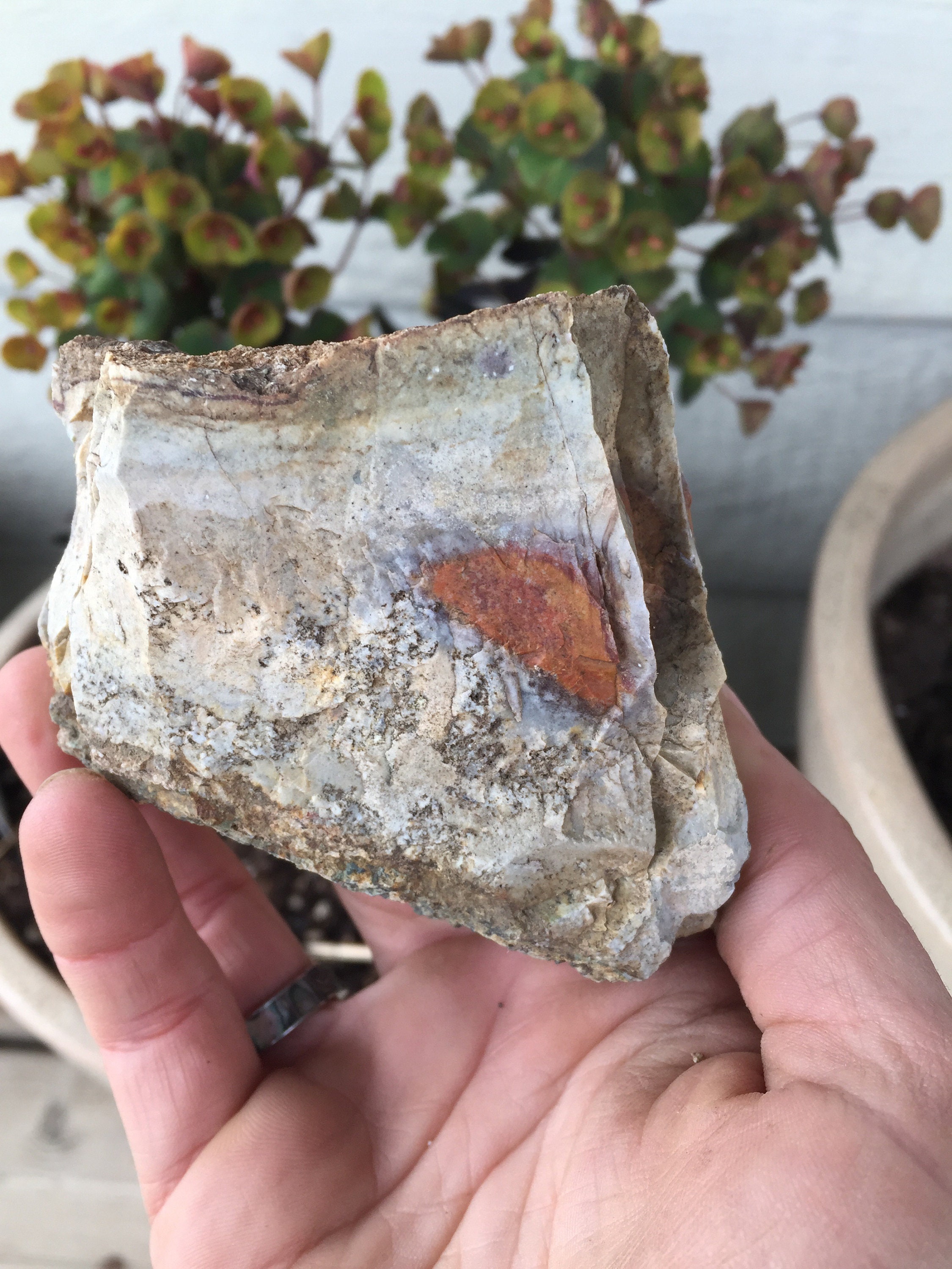 Polychrome Calamity Jasper Slab * - Etsy