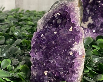 Amethyst Cut Base Clusters From Uruguay Large 2-8 Grade A Purple ...