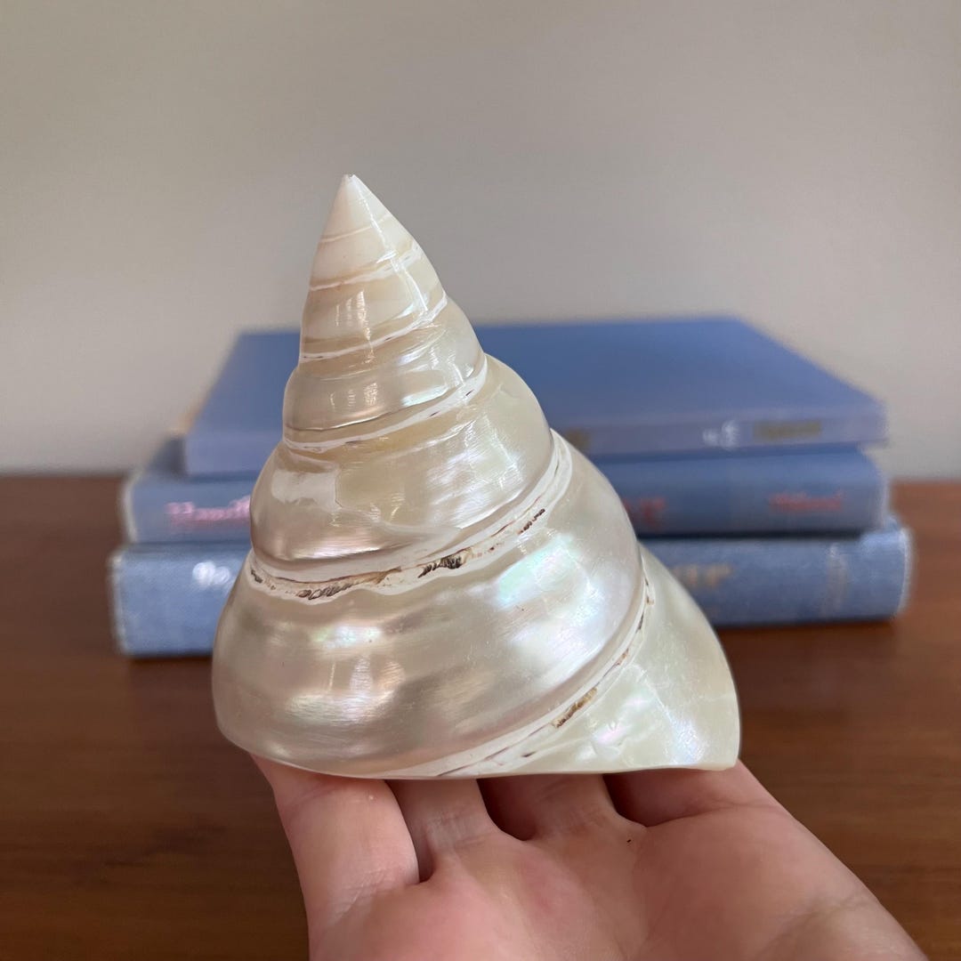 Vintage Mother of Pearl Pyramid Shell: Iridescent Coastal Decor - Etsy