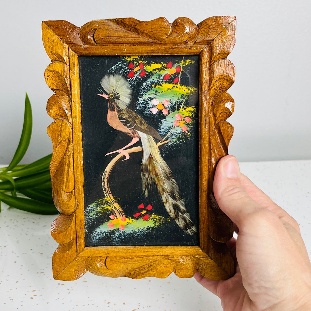 Vintage Feather Art Bird Taxidermy Feathercraft Art Framed Exotic Bird ...
