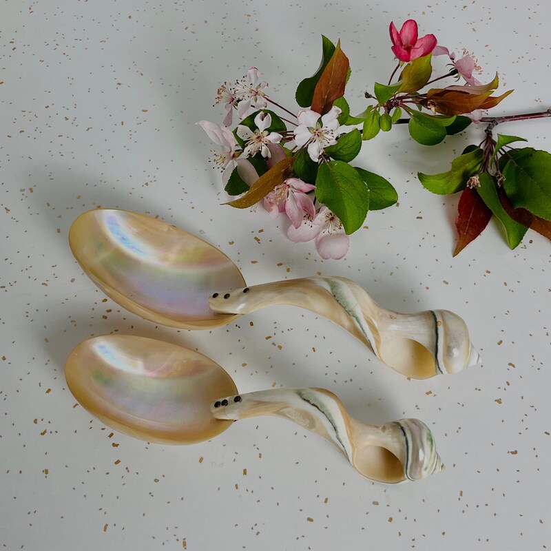 Shell Spoon - Etsy
