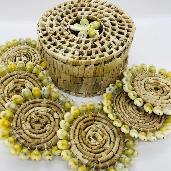 Sea Shell Coasters - Etsy