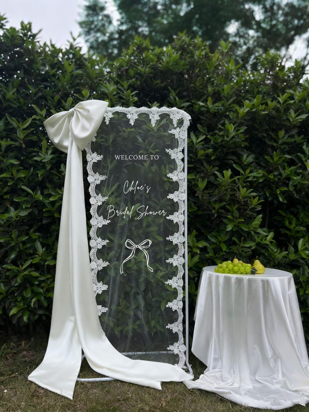 Sheer Lace Bridal Shower Welcome Sign on Veil: Clear Tulle, Fabric ...