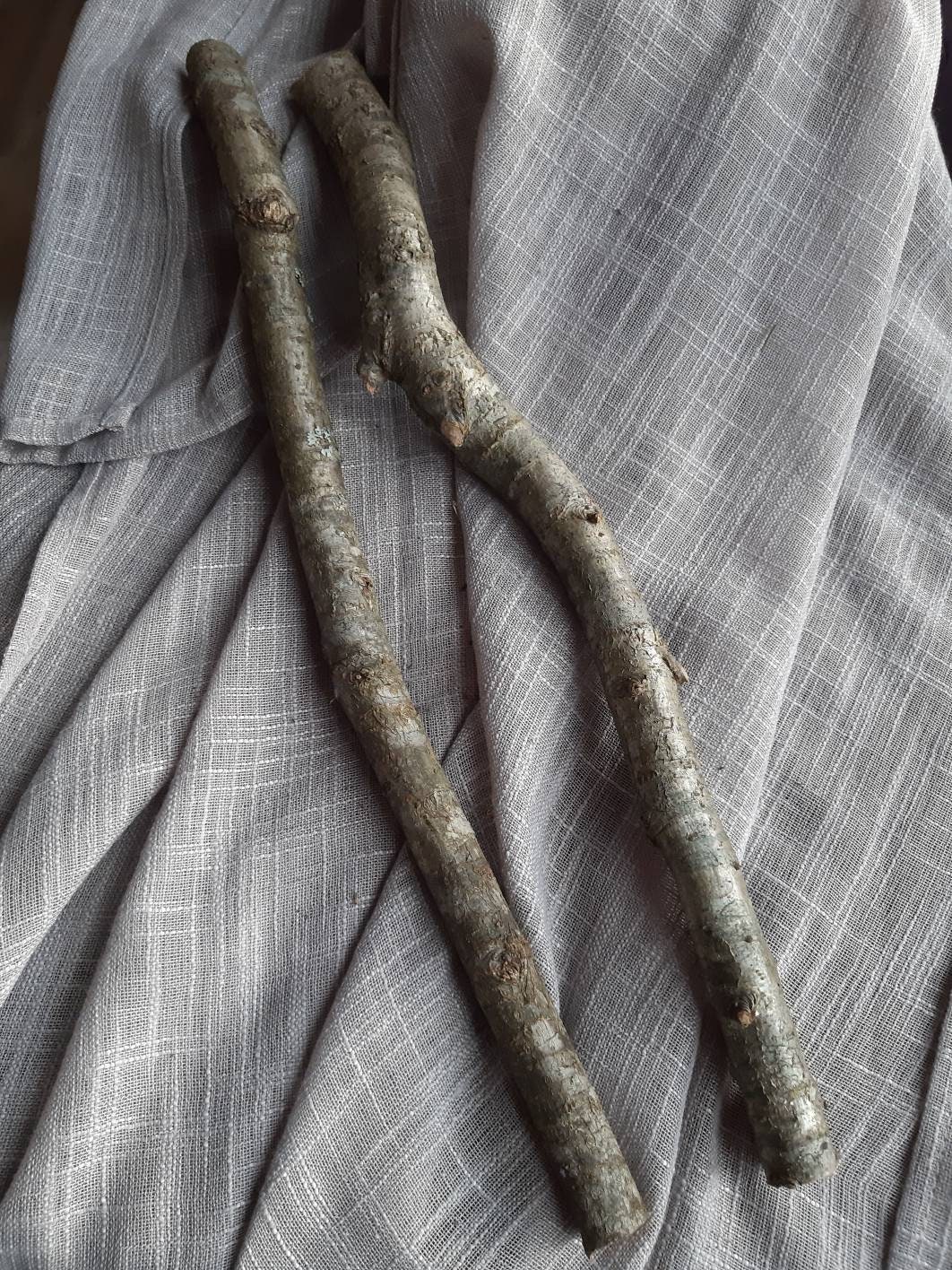 Thick Oak Branches Oak Wooden Wands Oak Large Branches Craft Tree ...