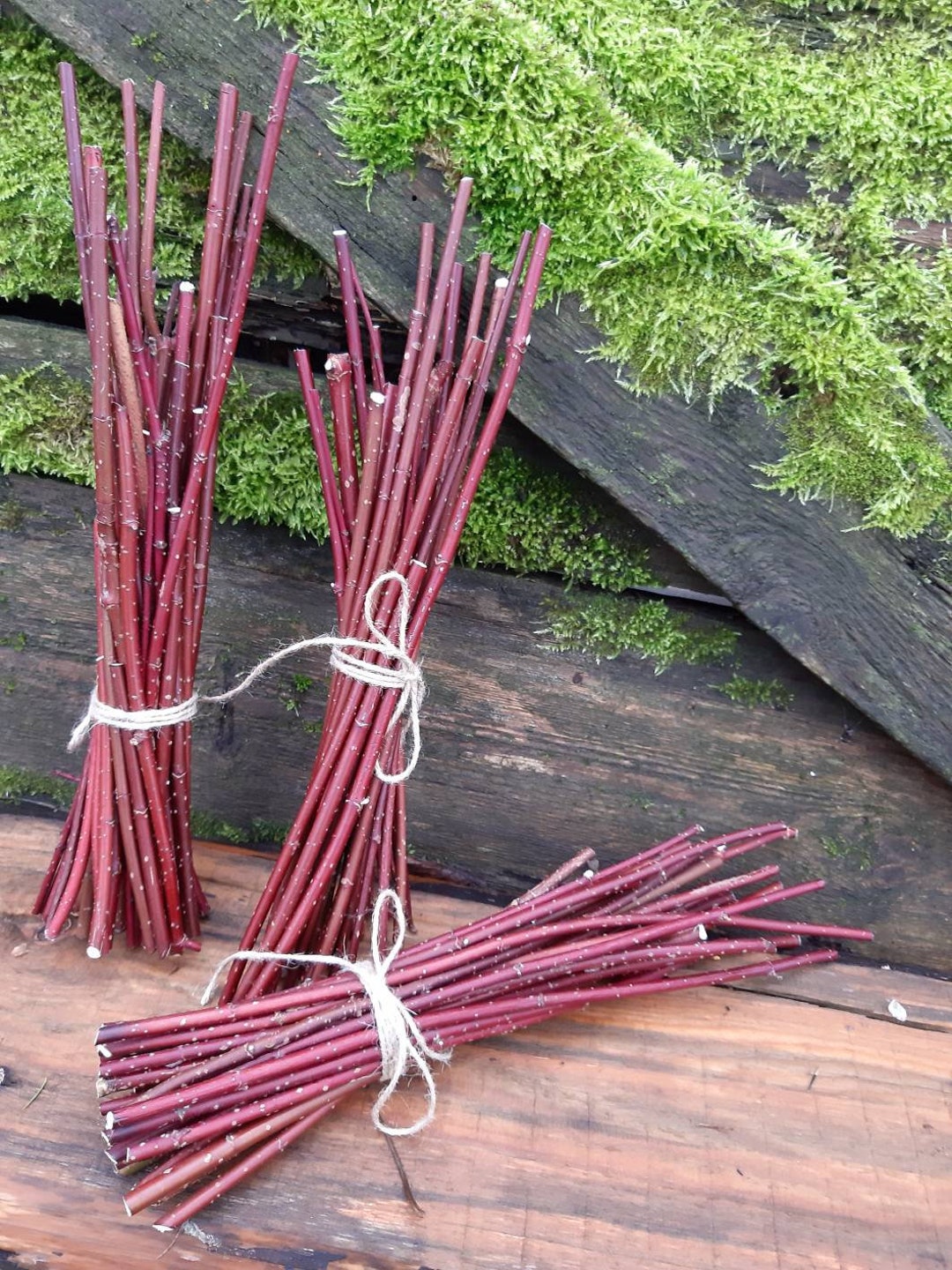 Real Red Dogwood Wands Real Willow Sticks Twigs Wooden Twigs Craft ...