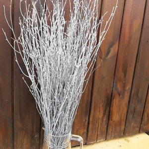 Birch Branches Twigs 20"-22"birch Bunch Bundle Easter Decor Birch Twigs ...