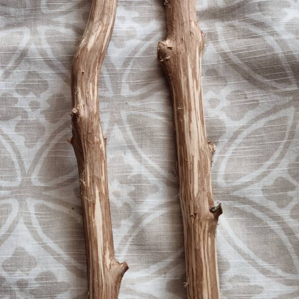 Tree Branch Hanger - Etsy