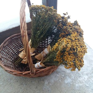 Dried Tansy Dried Yellow Tansy Herbs Bunch Dried Flower Bouquet Dry ...