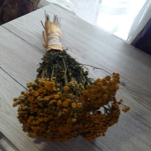 Dried Tansy Dried Yellow Tansy Herbs Bunch Dried Flower Bouquet Dry ...